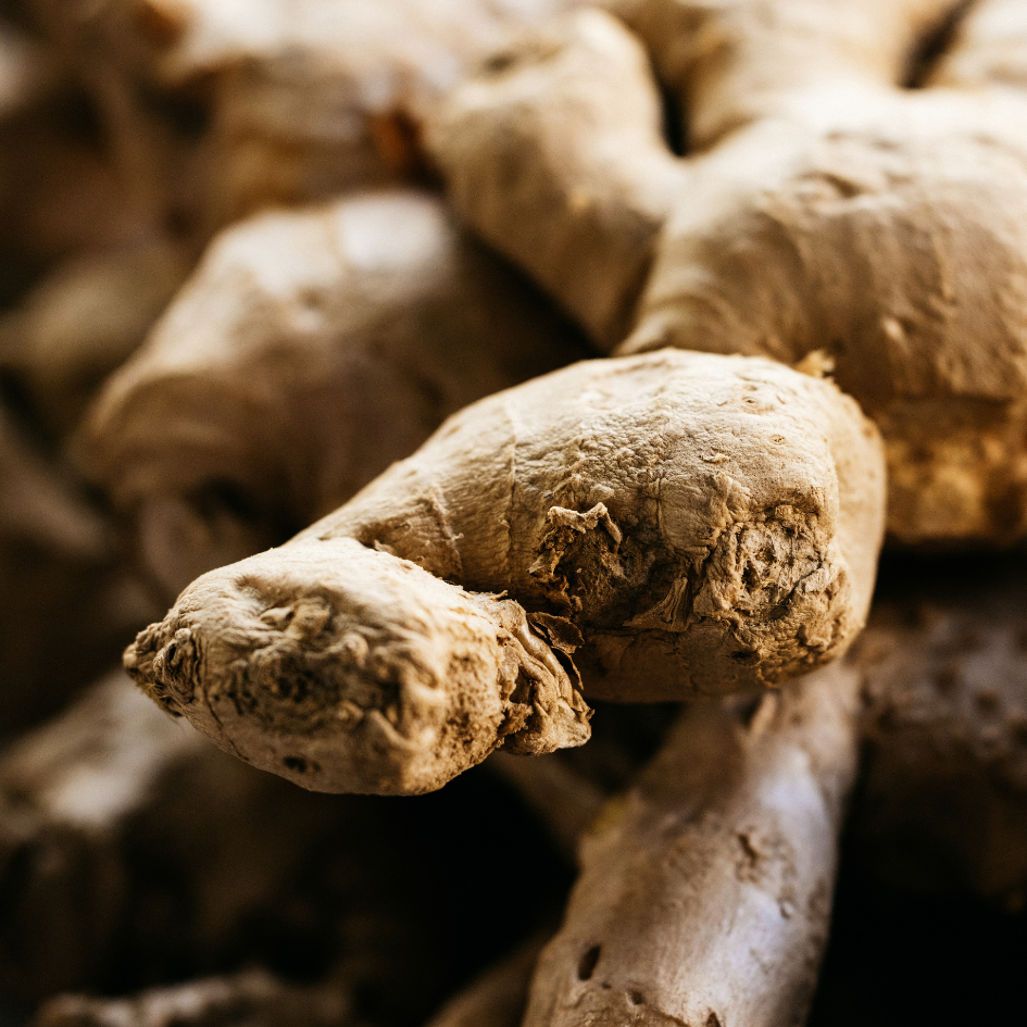 Ginger & Lemongrass, Reed Diffuser, box of 4– St Eval Trade Store